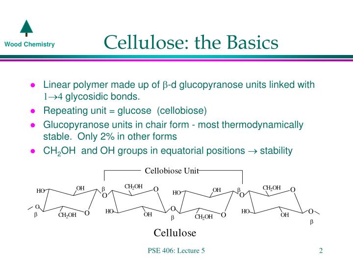 PPT - Wood Chemistry PSE 406/Chem E 470 PowerPoint Presentation - ID ...