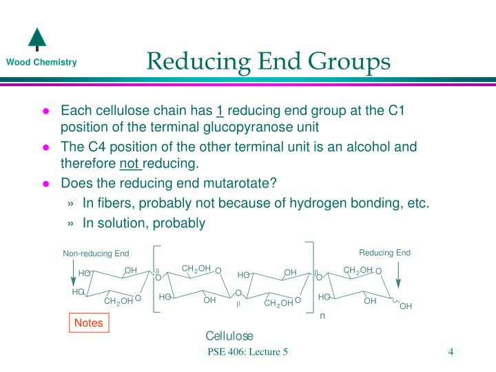PPT - Wood Chemistry PSE 406/Chem E 470 PowerPoint Presentation - ID ...