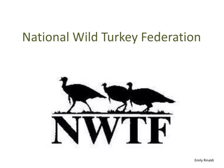 PPT - National Wild Turkey Federation PowerPoint Presentation, free ...