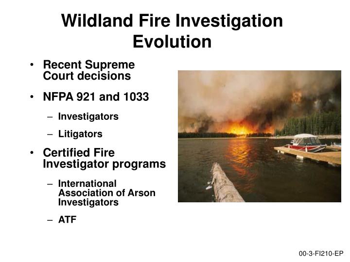 PPT - FI-210 WILDLAND FIRE ORIGIN & CAUSE DETERMINATION PowerPoint ...