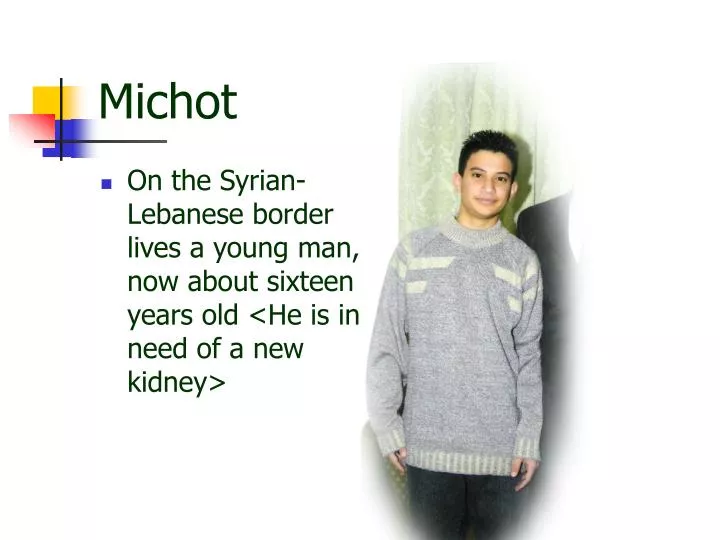 PPT - Michot PowerPoint Presentation, free download - ID:4680867