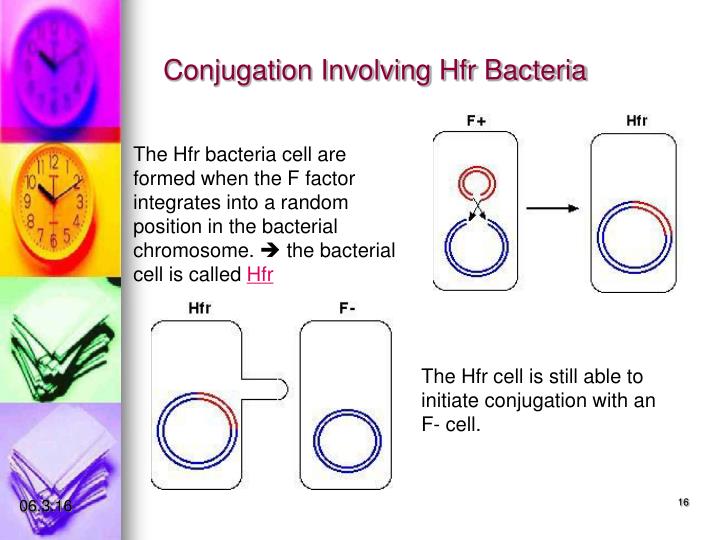 PPT - Gene transfer and applied to environmental engineering PowerPoint ...
