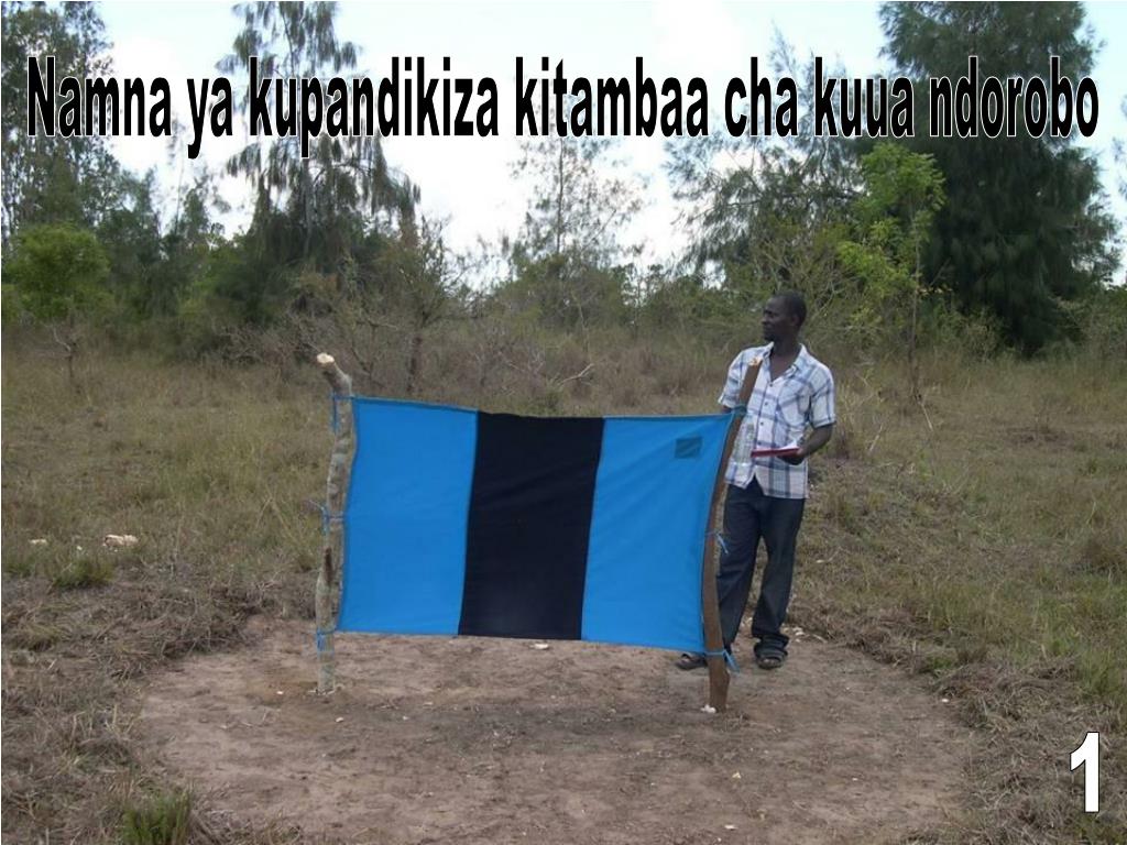 PPT - Namna ya kupandikiza kitambaa cha kuua ndorobo PowerPoint ...