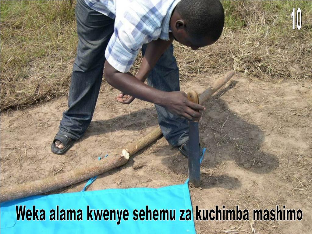 PPT - Namna ya kupandikiza kitambaa cha kuua ndorobo PowerPoint ...