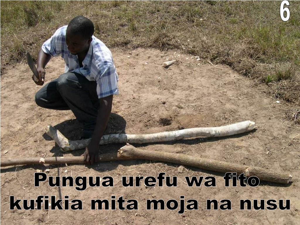 PPT - Namna ya kupandikiza kitambaa cha kuua ndorobo PowerPoint ...