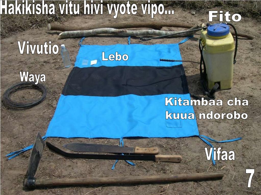 PPT - Namna ya kupandikiza kitambaa cha kuua ndorobo PowerPoint ...