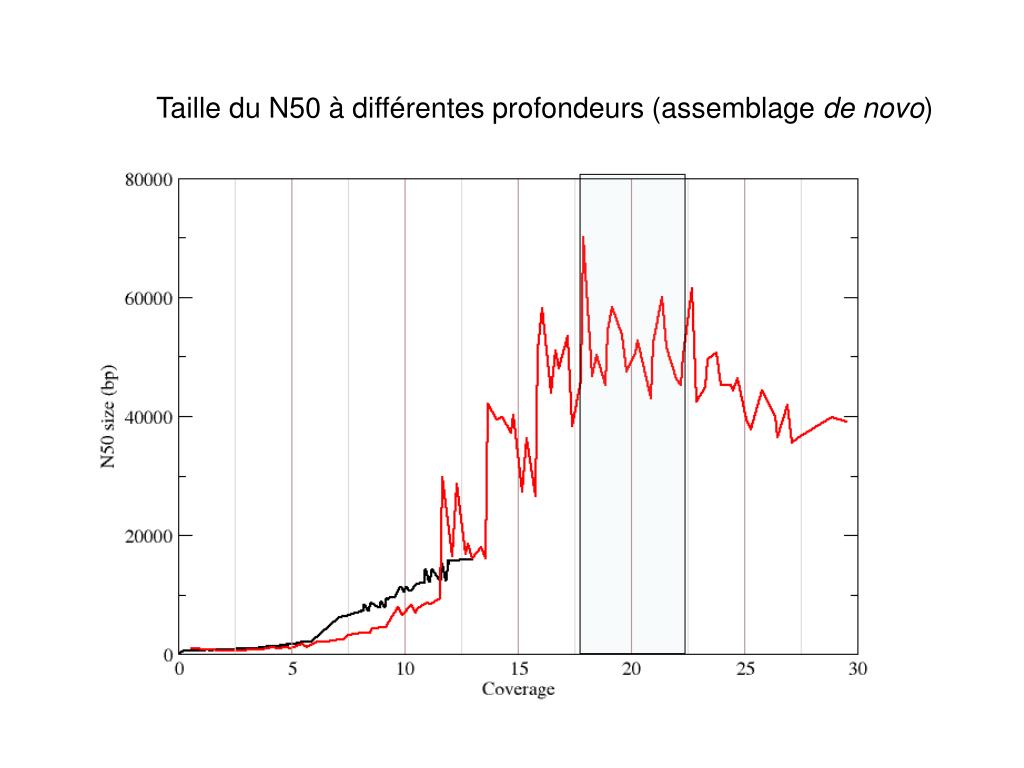PPT - Le séquençage à grande échelle au Genoscope Stratégies actuelles ...