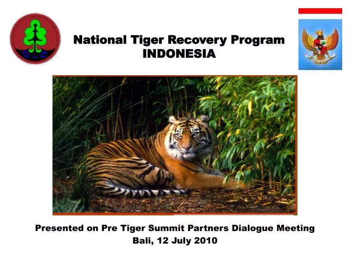 PPT - National Tiger Recovery Program INDONESIA PowerPoint Presentation ...
