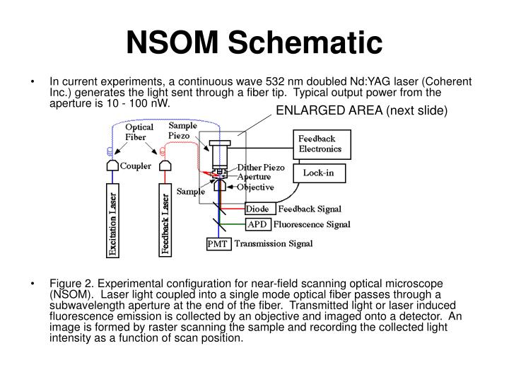 PPT - Near-field Scanning Optical Microscopy (NSOM) PowerPoint Presentation - ID:4684080
