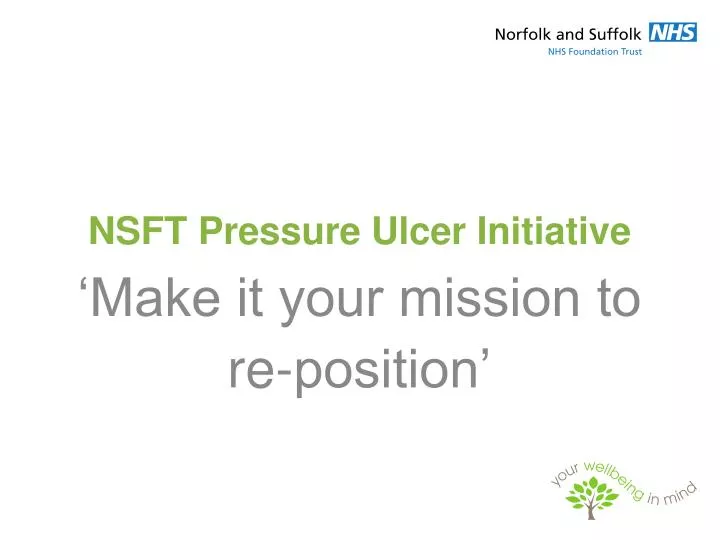 PPT - NSFT Pressure Ulcer Initiative PowerPoint Presentation, free ...