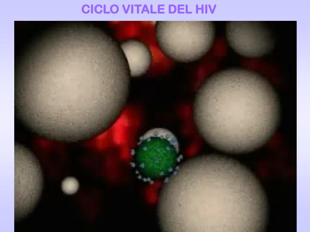 PPT - EVOLUZIONE DELL’INFEZIONE DA HIV PowerPoint Presentation, free ...