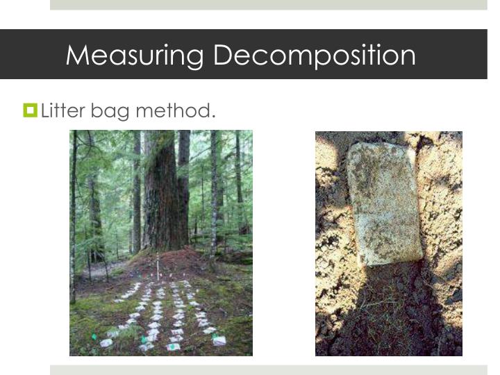 PPT - Decomposition PowerPoint Presentation - ID:4685435