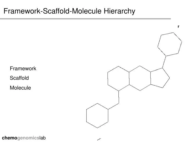 PPT - Framework-Scaffold-Molecule Hierarchy PowerPoint Presentation, free download - ID:4686416