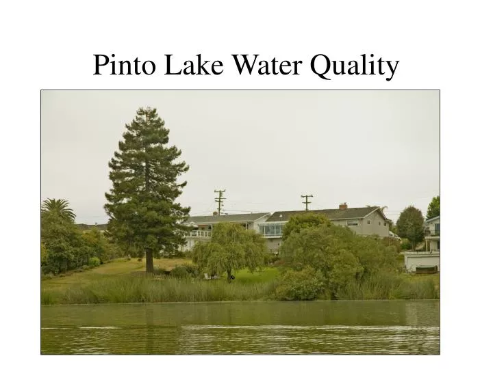 PPT - Pinto Lake Water Quality PowerPoint Presentation, free download ...