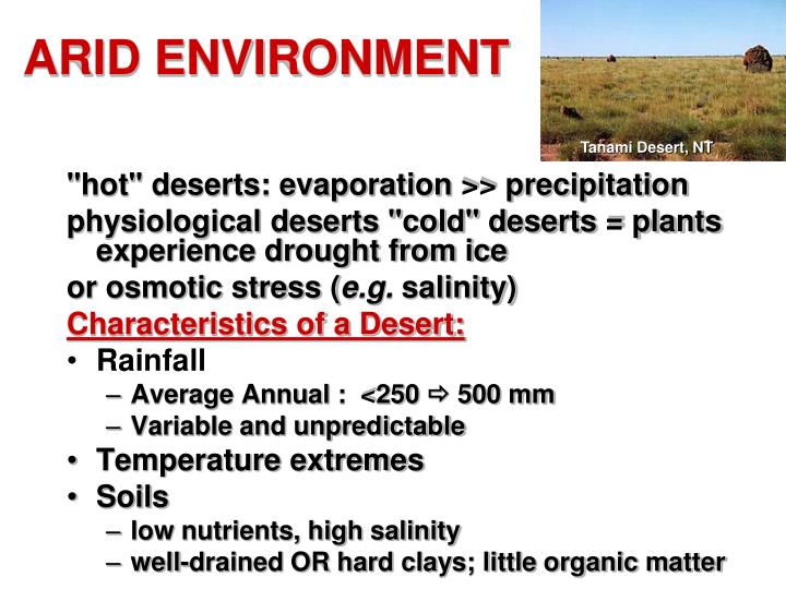 PPT - THE ARID ZONE AND XERIC SHRUBLANDS PowerPoint Presentation - ID ...