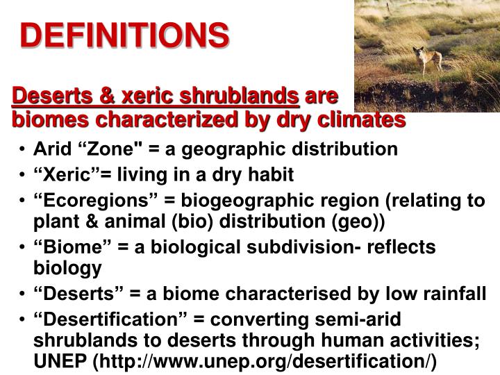 PPT - THE ARID ZONE AND XERIC SHRUBLANDS PowerPoint Presentation - ID ...