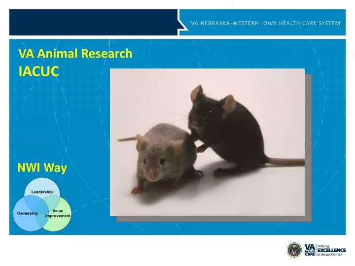 PPT - VA Animal Research IACUC PowerPoint Presentation, free download ...