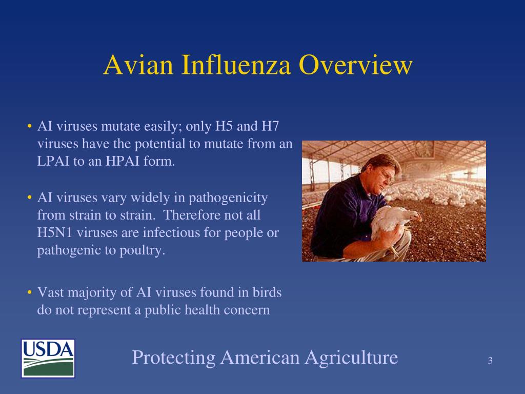 PPT - Avian Influenza: Agricultural Perspectives & Interventions ... PPT - Avian Influenza: Agricultural Perspectives & Interventions ...