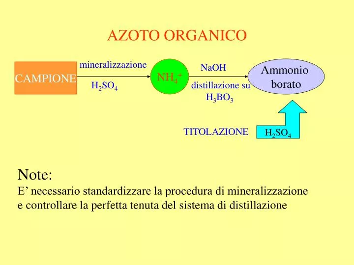 PPT - AZOTO ORGANICO PowerPoint Presentation, free download - ID:4689398
