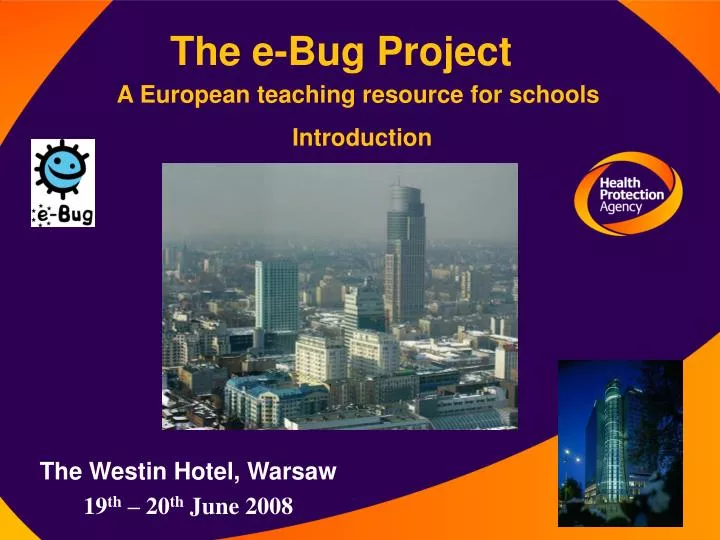 PPT - The e-Bug Project PowerPoint Presentation, free download - ID:4689437