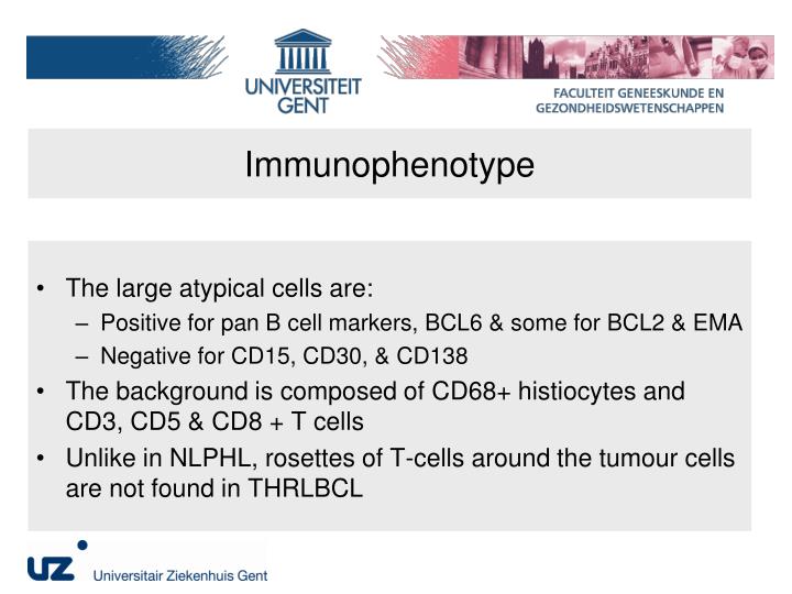 PPT - T-cell/histiocyte-rich large B cell lymphoma PowerPoint ...