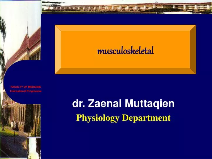 PPT - musculoskeletal PowerPoint Presentation, free download - ID:4691936