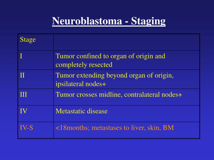 PPT - Neuroblastoma PowerPoint Presentation - ID:4692037
