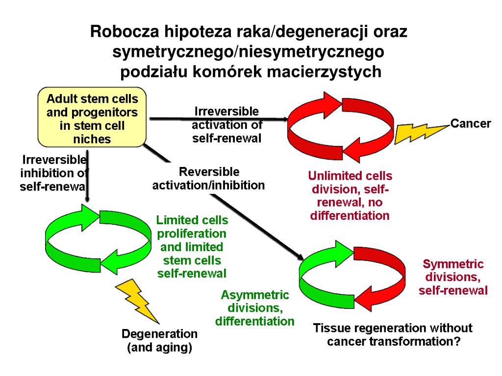PPT - Andrey Voronkov* and John Shultz *av@drugdiscoveryathome ...