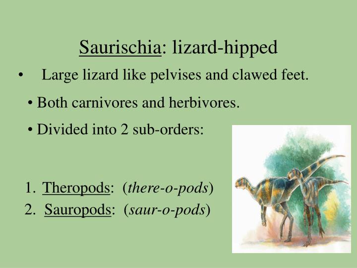 PPT - Dinosaur Types! PowerPoint Presentation - ID:4693321