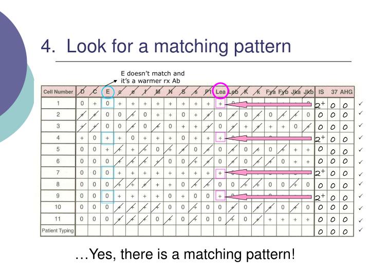 PPT - Antibody Screening and Identification PowerPoint Presentation ...
