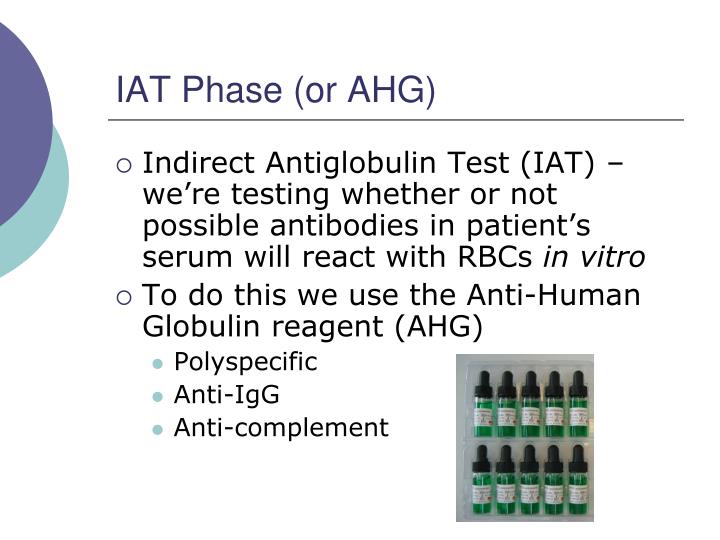 PPT - Antibody Screening and Identification PowerPoint Presentation ...