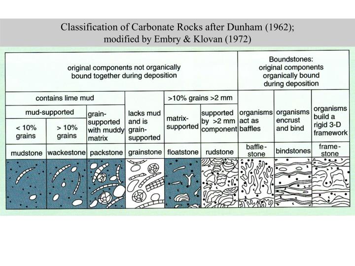 PPT - Carbonate sediments and depositional environments PowerPoint ...