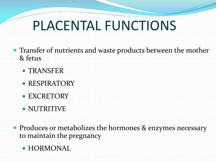 PPT - Lecture 2 DEVELOPMENT OF PLACENTA. PLACENTA’S MORPHOLOGY AND ...