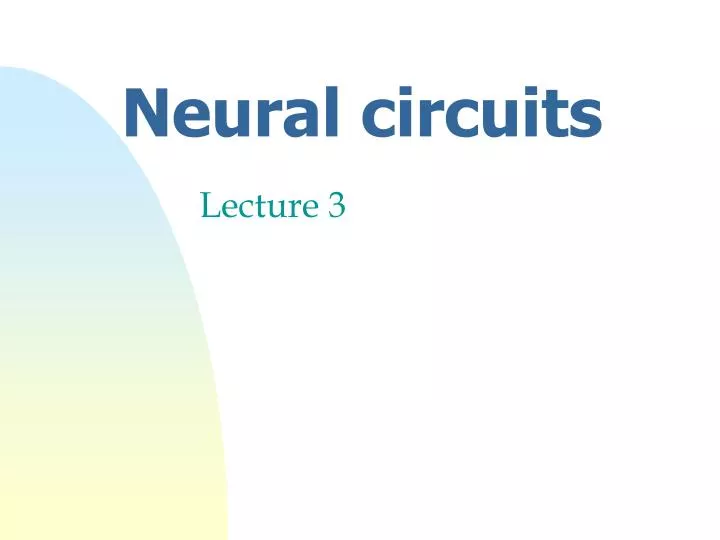 PPT - Neural circuits PowerPoint Presentation, free download - ID:4698521