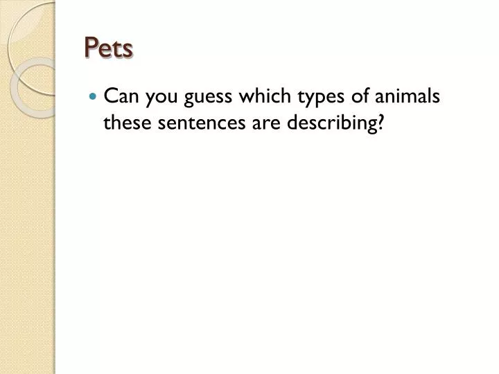 PPT - Pets PowerPoint Presentation, free download - ID:4699607