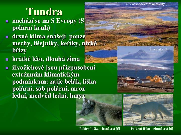 PPT - EVROPA Podnebí a vegetace PowerPoint Presentation - ID:4700175