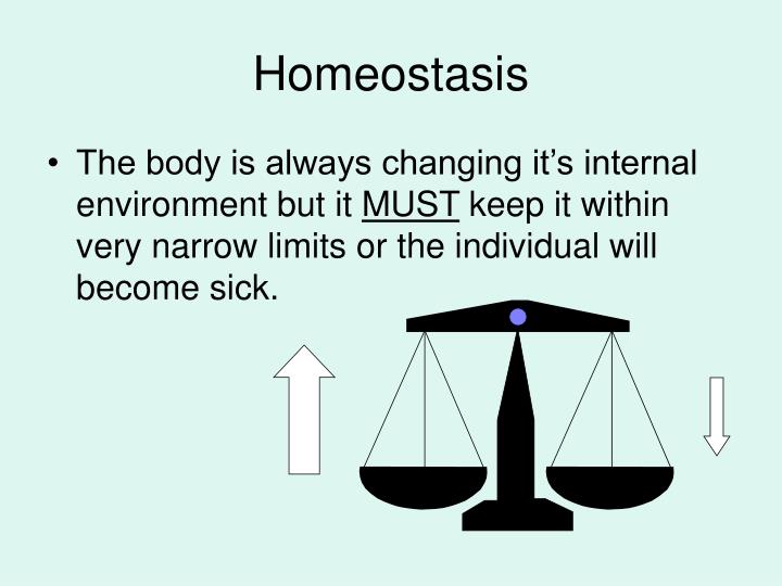 PPT - MEDICAL TERMINOLOGY PowerPoint Presentation - ID:4701035