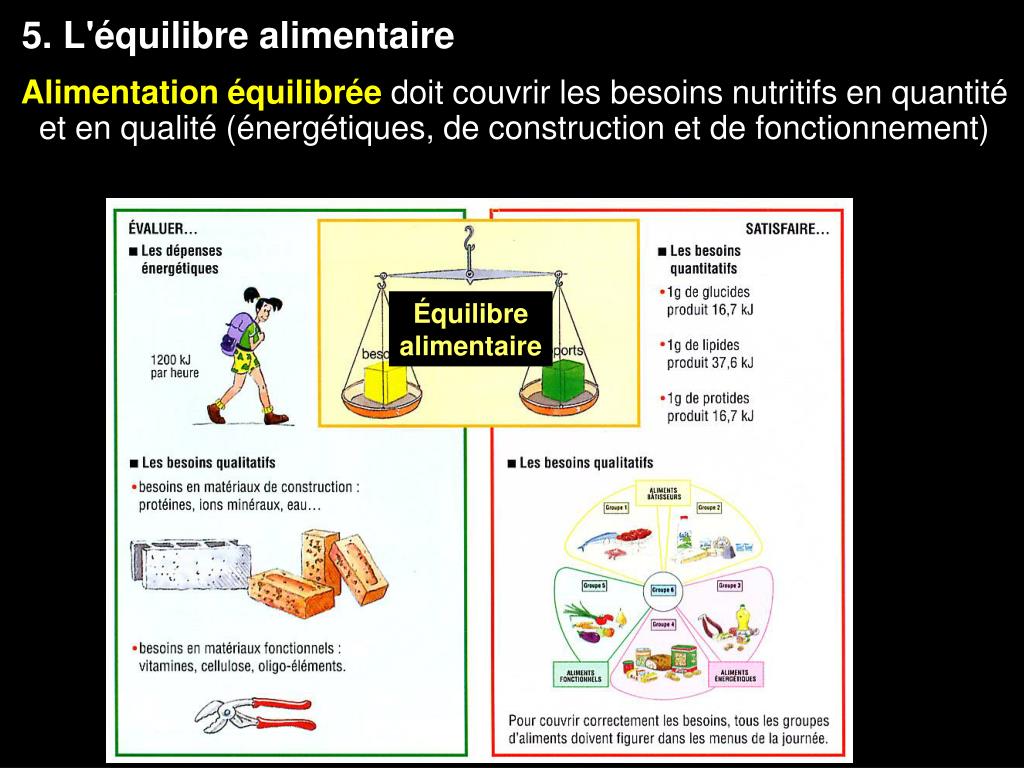 PPT - Chapitre 1. Alimentation humaine et son hygiène PowerPoint ...