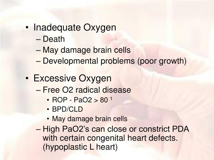 PPT - The Delivery of Low Flow Oxygen in Neonates (made interesting ...