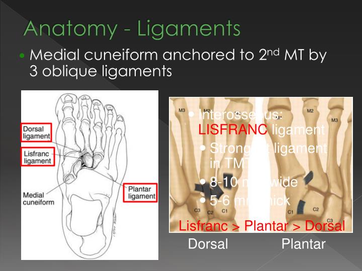 PPT - LISFRANC INJURIES PowerPoint Presentation - ID:4701679