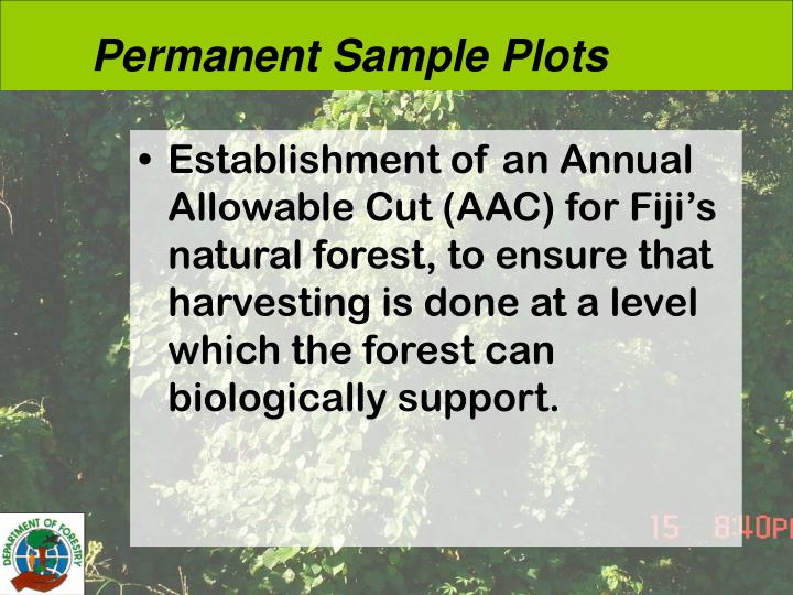 PPT - Permanent Sample Plots for Forest Monitoring in Fiji PowerPoint ...