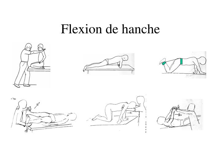 PPT - Schémas kiné active PowerPoint Presentation - ID:4702011