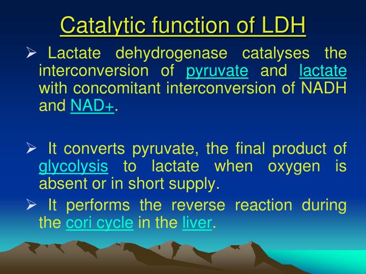 PPT - Serum Lactate dehydrogenase PowerPoint Presentation - ID:4705158