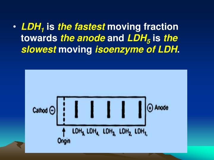 PPT - Serum Lactate dehydrogenase PowerPoint Presentation - ID:4705158