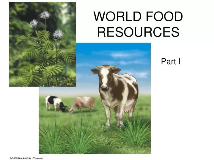 PPT - WORLD FOOD RESOURCES PowerPoint Presentation, free download - ID ...