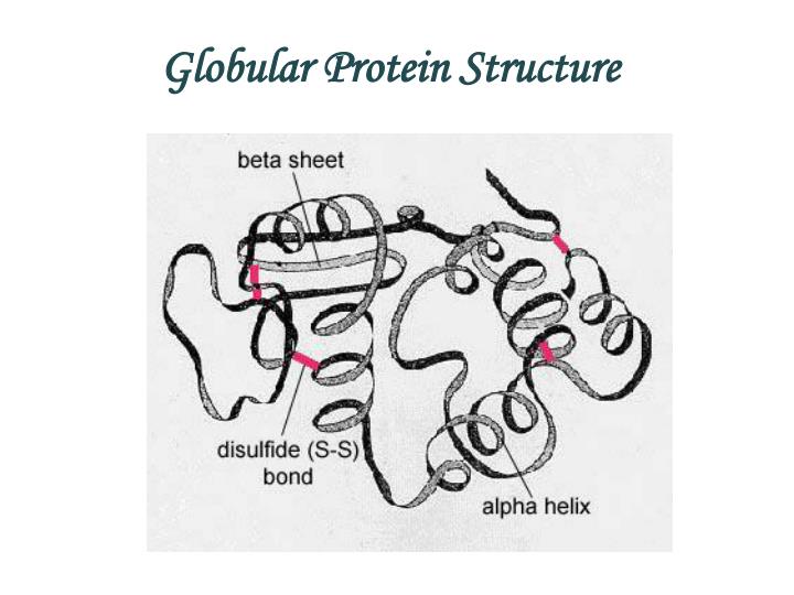 PPT - Continued development of Probabilistic Molecular Dynamics ...