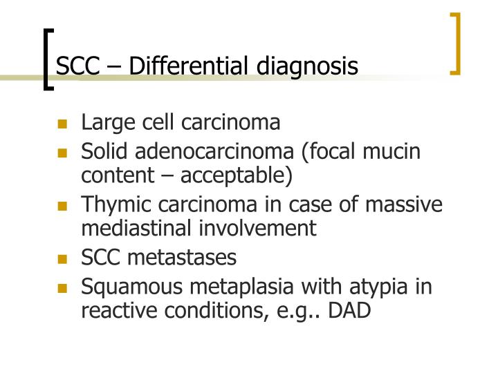 PPT - Non Small Cell Lung Cancer Histopathology PowerPoint Presentation ...