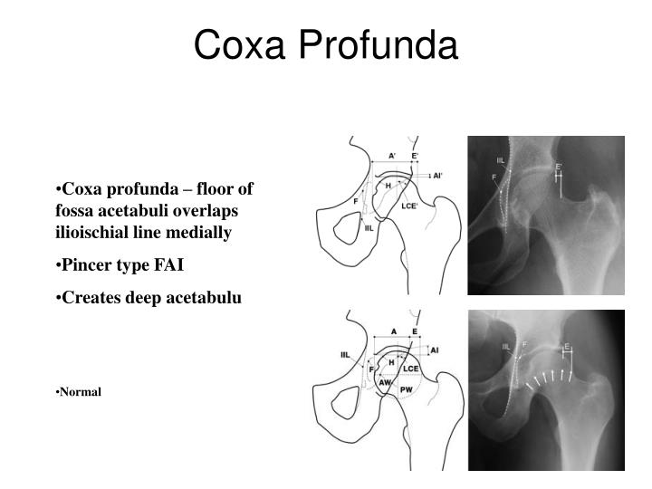 PPT - F.A.I. PowerPoint Presentation - ID:4709433