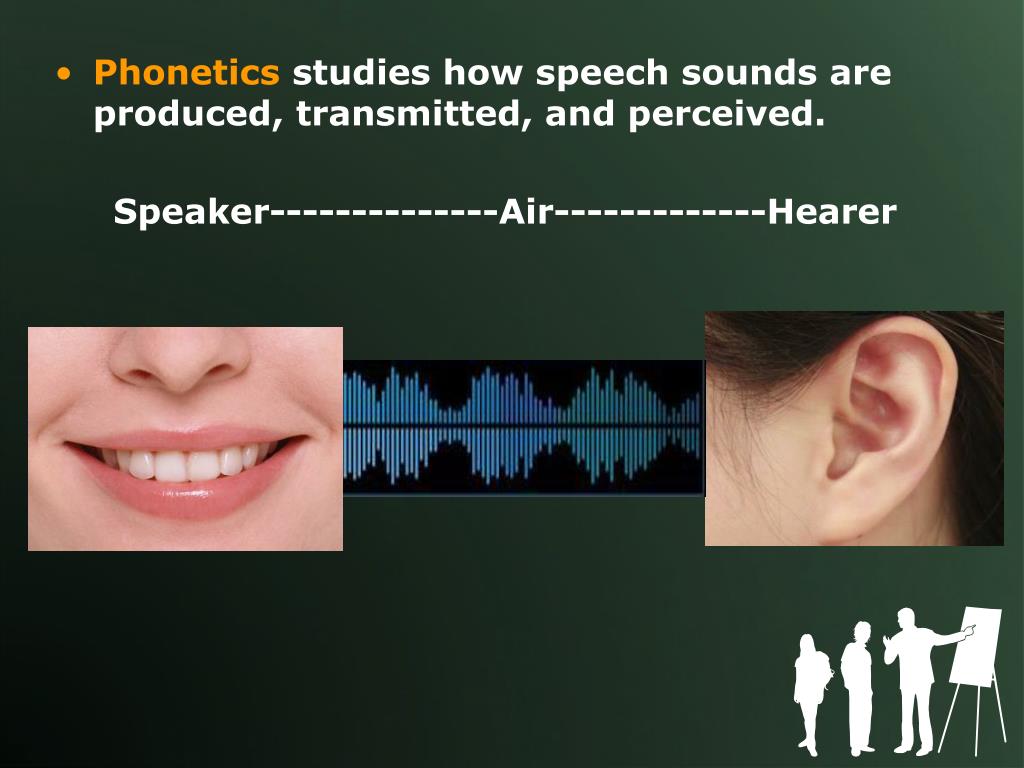PPT Chapter 2 Speech Sounds PowerPoint Presentation Free Download 