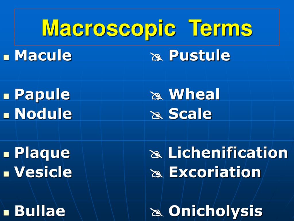 PPT - Pathology of skin diseases ((Dermathopathology)) PowerPoint ...